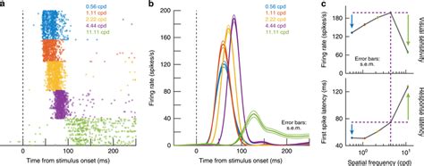 Rapid Primate Superior Colliculus Sc Detection Of Low Spatial