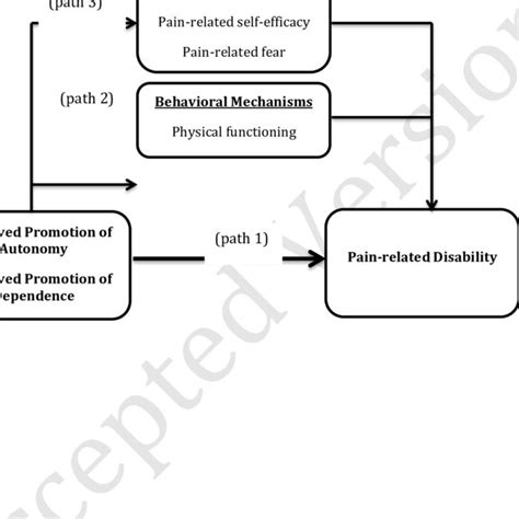 The Relationship Between Perceived Promotion Of Autonomydependence