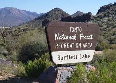 Az Camp Guide Bartlett Flat Shoreline Area Bartlett Lake Arizona