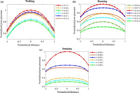 Spatial Distribution Of Pore Pressure In Cortical Bone Tissue In