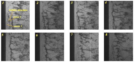 Propagation Of Small Amplitude Waves P A 2 Bar V A 30ms V L 15 Ms Download Scientific