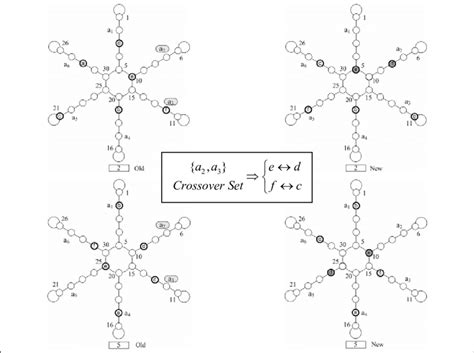 Newcrossover Operators Pseudo Code Download Scientific Diagram