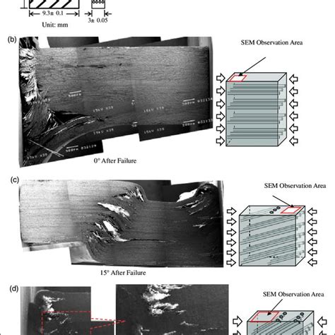 A Dimension Of Specimen For Compression Test And Micrographs Of The Download Scientific
