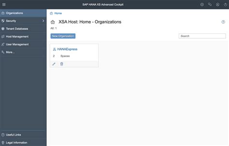 Sap Hana Xs Advanced Cockpit On Sap Hana Express Edition Thing 1 Sql