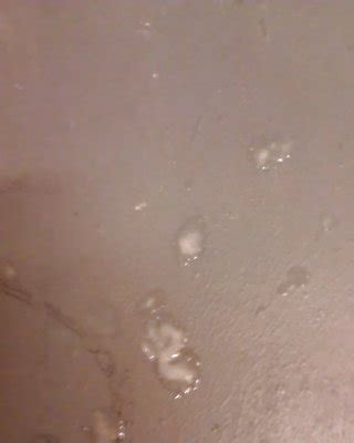 Public Cum Shot Gifs Sex Gifs Porn Gif Xxx Gifs Pictoa