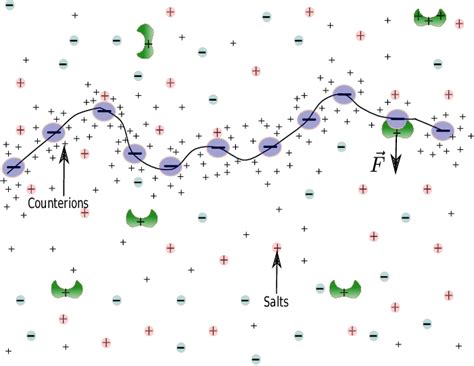 A Schematic Diagram Of A Polyelectrolyte Solution With The Charged Download Scientific Diagram