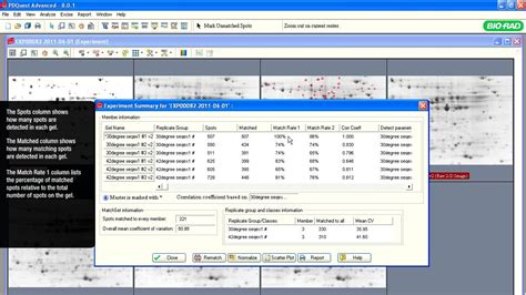 Pdquest™ Software Tutorials — Experiment Summary Tools For Spot