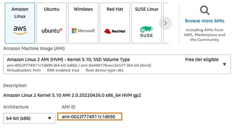 How To Launch An Apache Web Server On Ec2 Through The Cli By Ricardo