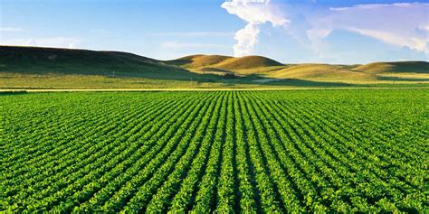 Ф Центр По Youtube распространяется новый троян Эксперты по кибербезопасности из компании Dr