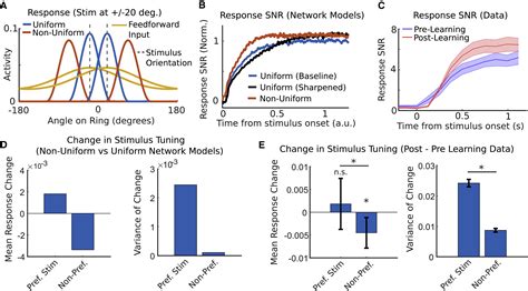Learning Shapes Cortical Dynamics To Enhance Integration Of Relevant