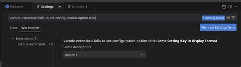 In Settings Panel Vscode Doesnt Respect Custom `title` For Extension Configuration Option