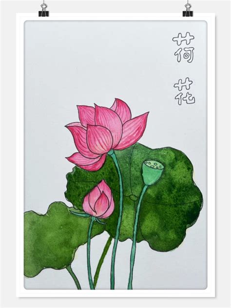 简单易学的水彩绘画 简单易学的水彩绘画作品 博物迷