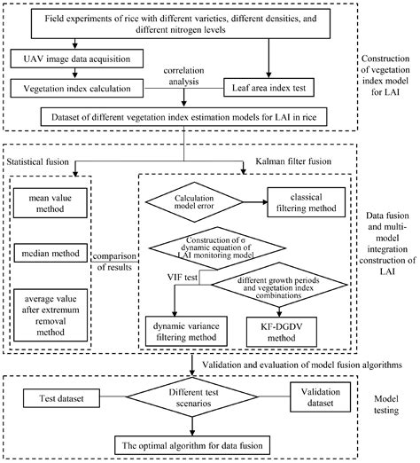 Remote Sensing Free Full Text Estimation Of Rice Leaf Area Index Utilizing A Kalman Filter