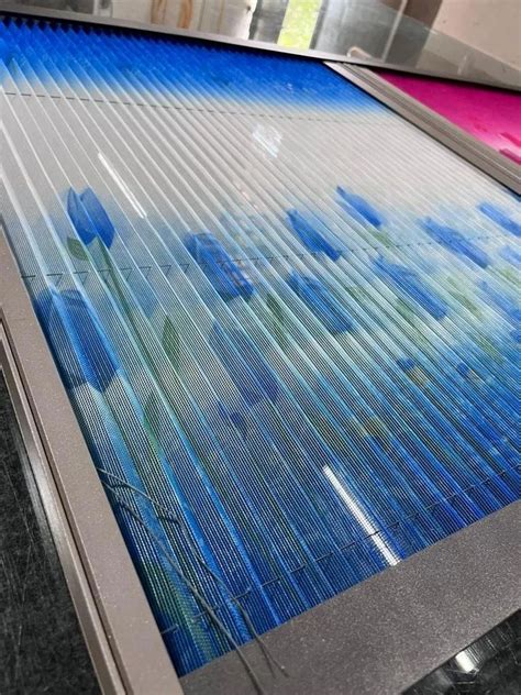 Aluminium Mosquito Mesh Window at 160 sq ft मश खडक in Ahmedabad ID 2855071605073