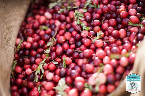 Organic Cranberries Good For You At Joshua Allingham Blog