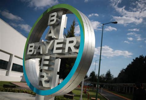 Bayer Estimates New Gm Soybean To Reach 10 Of Brazils 2022 23