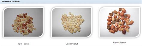 Peanut Color Sorting Machineoptical Sorting Machine For Peanuts Processing Machine