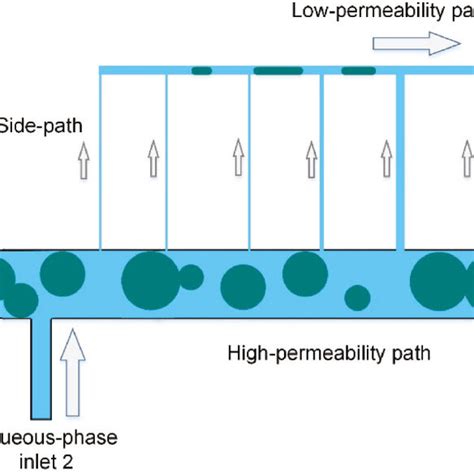The Schematic Of The Microfluidic Design [78] Download Scientific Diagram