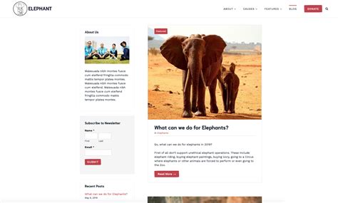 Blog Layouts