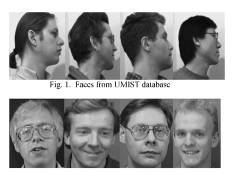 figure 2 from face recognition using principle component analysis and