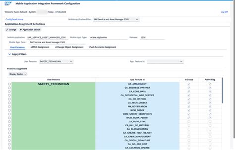 Configuring Features And Personas In Sap Service A Sap Community
