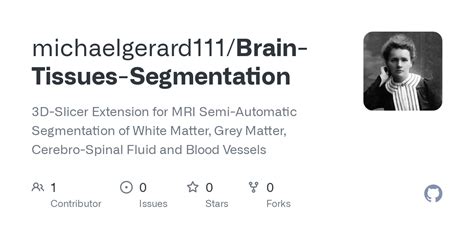 Github Michaelgerard111brain Tissues Segmentation 3d Slicer