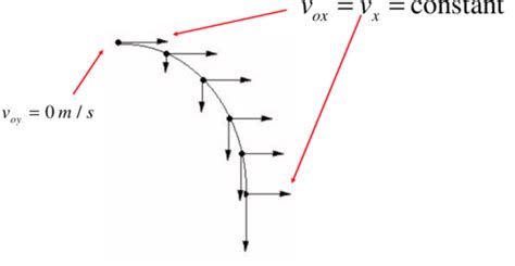 phys 2514 projectile motion flashcards quizlet
