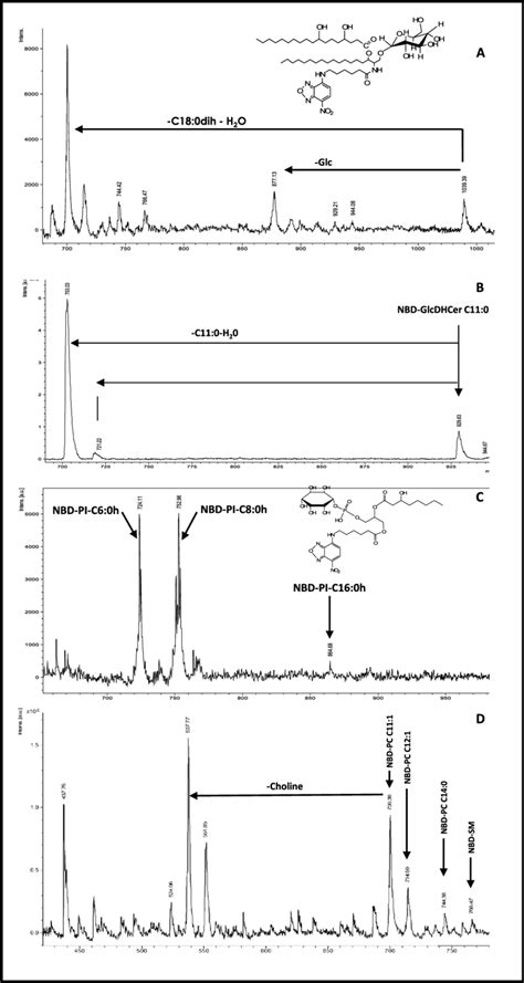 Maldi Tof Mass Spectra Of Isolated Lipids From Fig 2 And 3 A Spot F Download Scientific