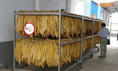 4g远程温湿度传感器在烟草行业中的应用—福建蜂窝物联网科技有限公司 Csdn博客