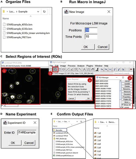 Workflow Of Barcode Identification This Macro Includes Roi