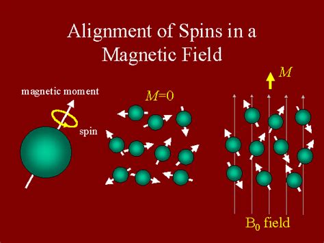 Alignment Of Spins In A Magnetic Field