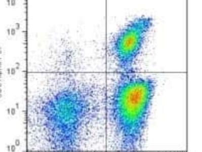 Easy To Use Kit For Sorting Cells Biocompare Com Kit Reagent Review