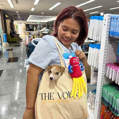 The Voice Foundation