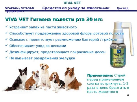 Viva Vet. Средства по уходу за животными - презентация онлайн
