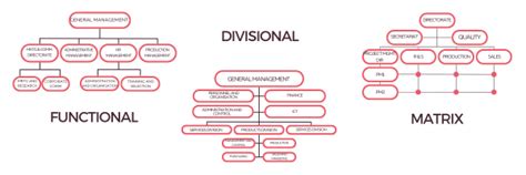 Organisational Chart Models Ecosagile
