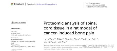 Front Mol Neurosci︱湖北科技学院医学部朱海丽团队揭示骨癌痛大鼠脊髓组织蛋白质 组学变化 知乎