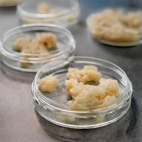 Buy Bulk Thca Concentrates Thca Wholesale Bakeboxx