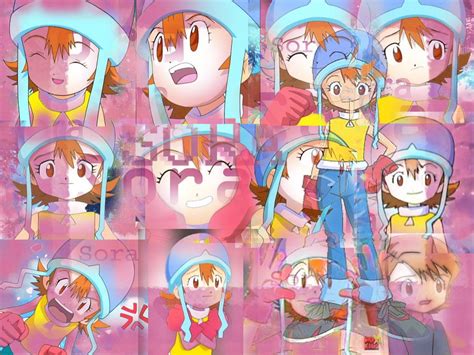Digimon Sora Per