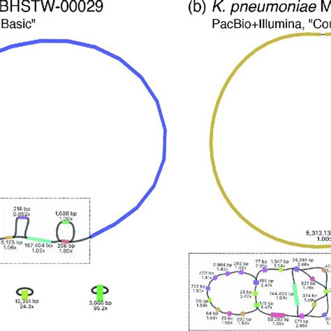 Examples Of Genome Structure Uncertainty In Hybrid Assemblies In A