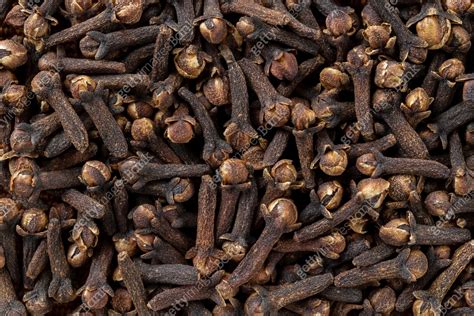 Clove Spice Texture Background Of Dry Clove Buds Macro Syzygium