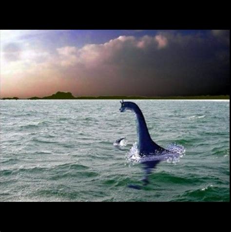 Чудовището от Лохнес дебне в Панчаревското езеро За Жената