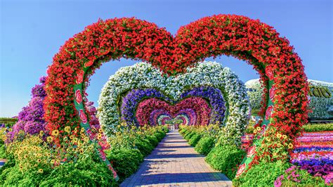 Dubai Miracle Garden