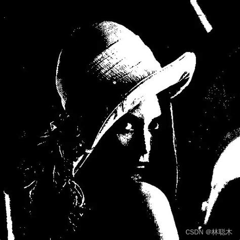 Matlab算法实战应用案例精讲 【图像处理】数字图像处理（补充篇）matlab数字图像实战 Csdn博客