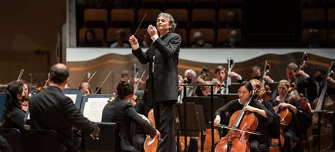 What Is The Difference Between A Symphony And An Orchestra