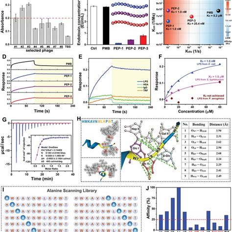 Interaction Of The Screened Peptides With Lps A Binding Affinity Of