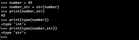 Everything About The Str Python Function In 2023 Naiveskill