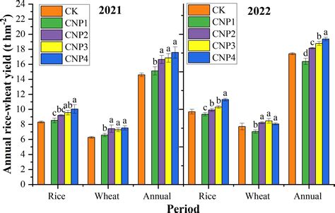 Frontiers Optimizing Controlled Release Urea And Urea Combinations For Sustainable Rice Wheat