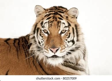 Photo And Image Portfolio By Scott E Read Shutterstock Contributor
