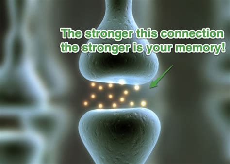 Science Backed Methods To Improve Your Memory