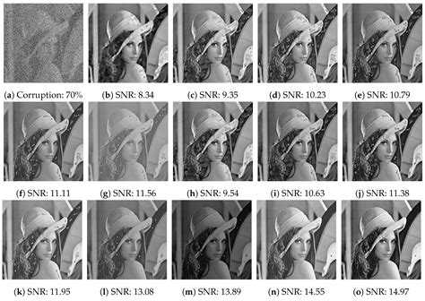 a novel image restoration method based on high order total variation regularization term